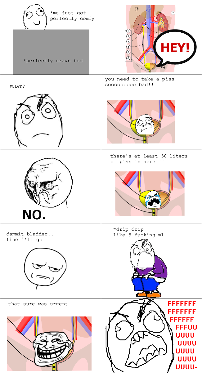 Bladder Rage :) Memedroid