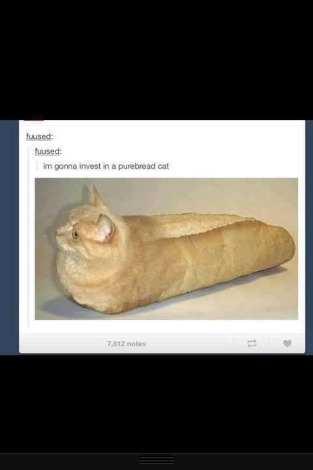 purebread - Meme subido por ThePhobic :) Memedroid