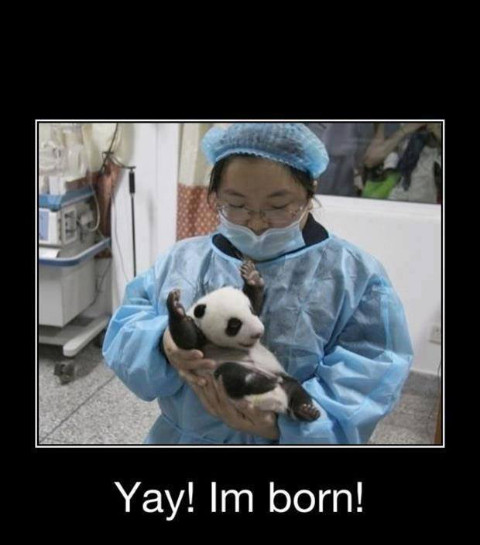 yayyy - Meme by bigwhaleater :) Memedroid