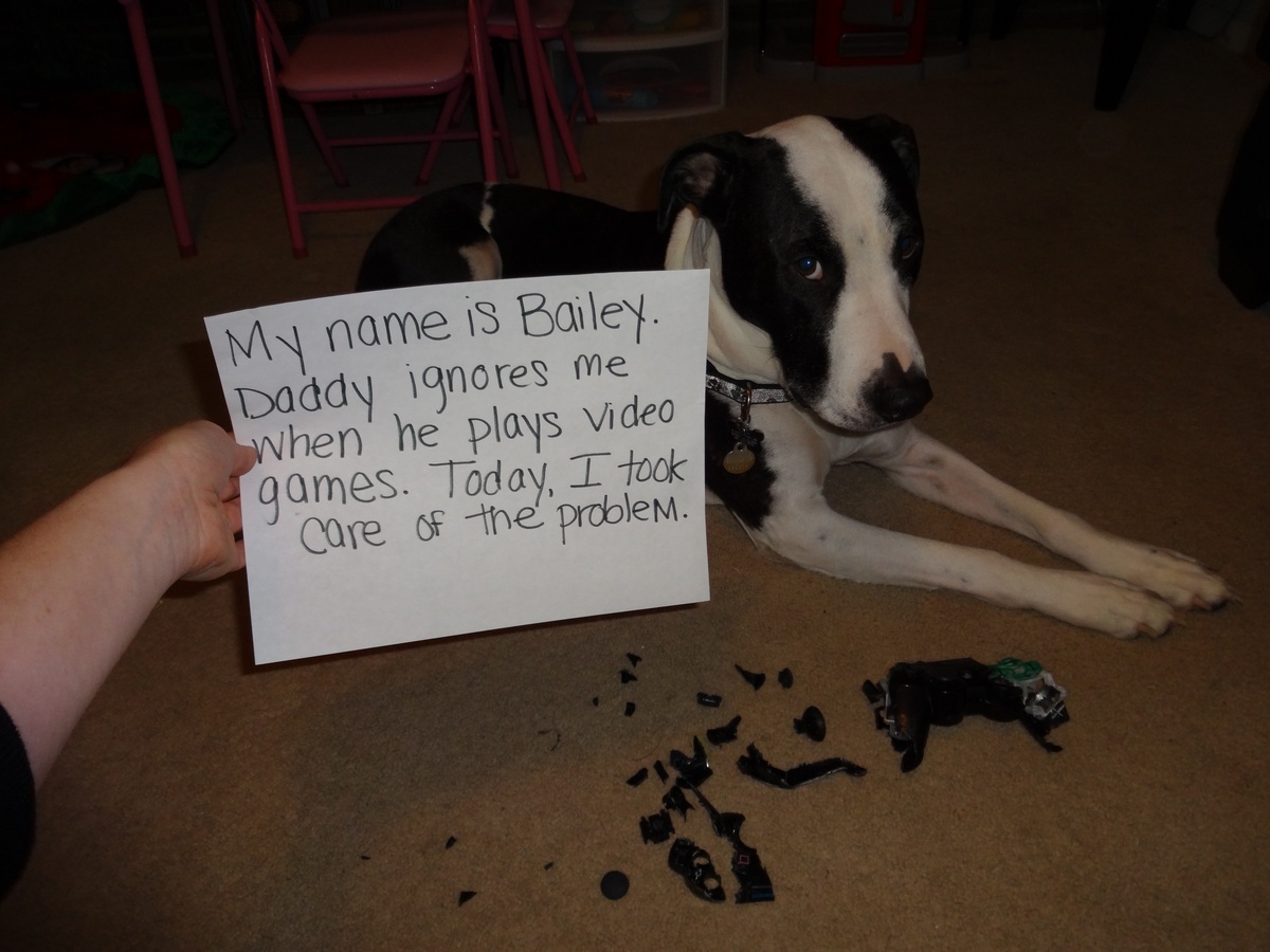 bloop bloop bloop - Meme by bails22.cb :) Memedroid