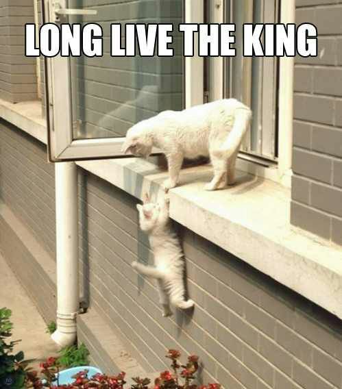 Scar, brother, help me! - Meme by TheOmegaOperative :) Memedroid Scar, brother, help me! - Meme by TheOmegaOperative :) Memedroid