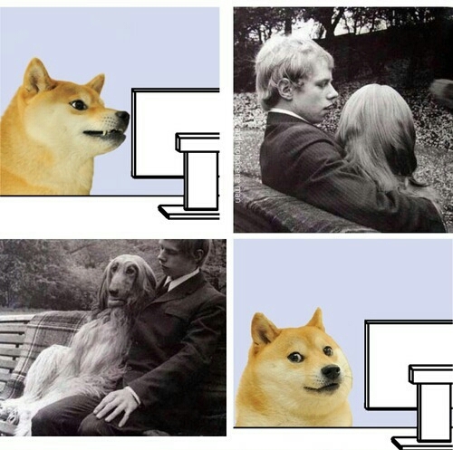 such deception - Meme by raalvi :) Memedroid