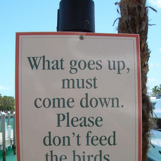 bird shit - Meme subido por Ld17shadow :) Memedroid