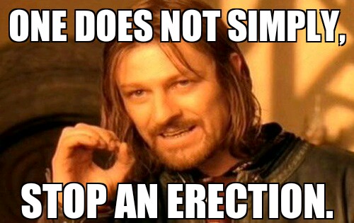 Erections... - Meme by zombiesocks99 :) Memedroid