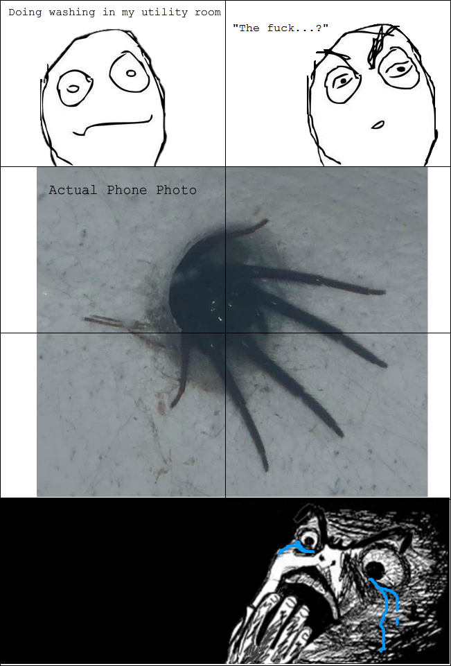 Nope Nope Nope Octopus Gif