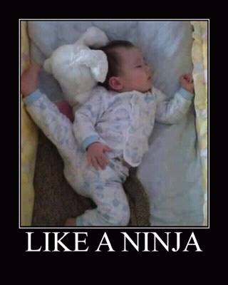 ninja - Meme by chillydoom :) Memedroid