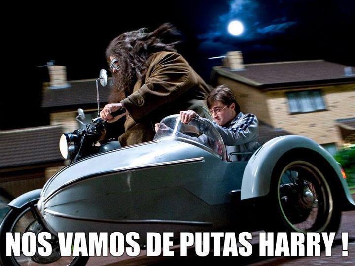 el peluca sapeee - Meme subido por Kevingston022 :) Memedroid