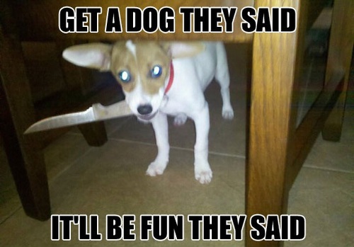 killa - Meme by asluttyinfant :) Memedroid