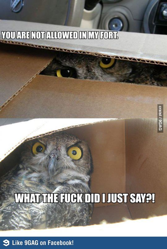 whoot whoot - Meme subido por crazydirtyblonde :) Memedroid