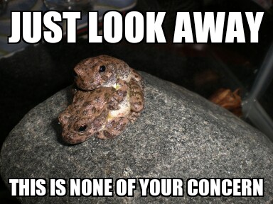 froggy style - Meme by Kasorae :) Memedroid