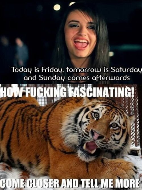 pleaseeee - Meme by Yoloer :) Memedroid