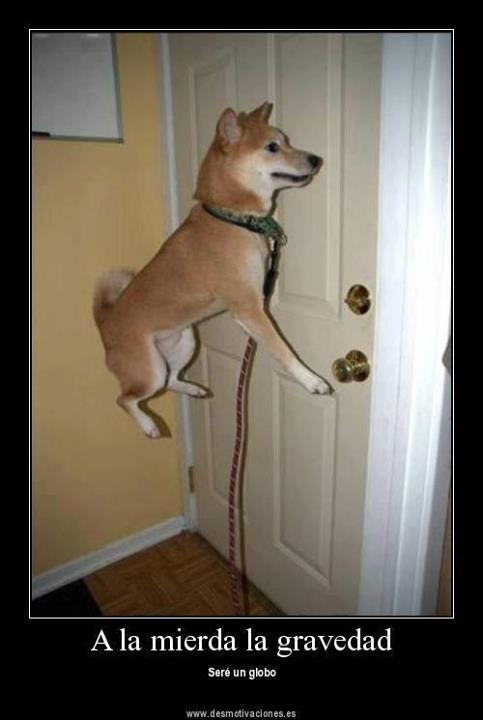 gravedad - Meme subido por israel-_- :) Memedroid