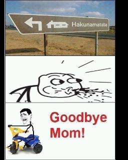 hakunaa - Meme by osculo :) Memedroid