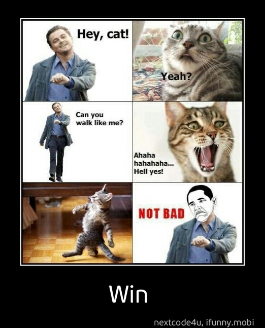 Not bad - Meme by mikkiii123 :) Memedroid