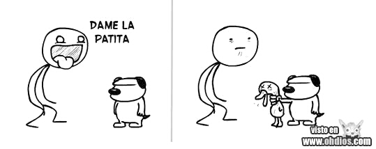 patita - Meme subido por alucardpako :) Memedroid