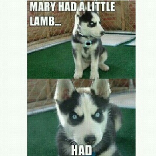 Had. - Meme by Lolzatmememe :) Memedroid