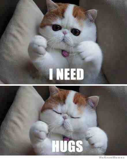 hugs!! - Meme by Derpete.love :) Memedroid