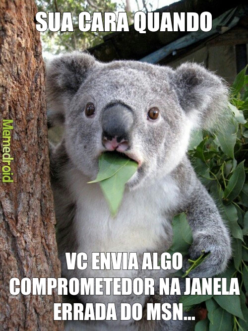 msn - Meme by thiagopollitp :) Memedroid