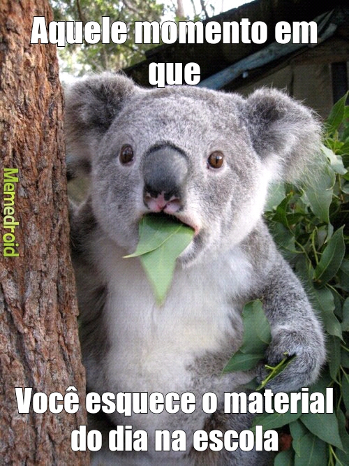 MATERIAL - Meme by gustavogiron12 :) Memedroid