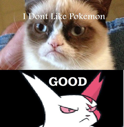 zangoose - Meme by The_Infinity_CZ :) Memedroid