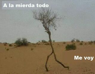 me voy - Meme subido por thesodegmz :) Memedroid