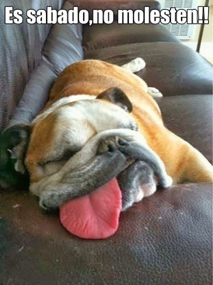 SAbado - Meme subido por Matalostodos :) Memedroid