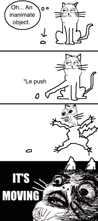 dumb cat - Meme by kagura15 :) Memedroid