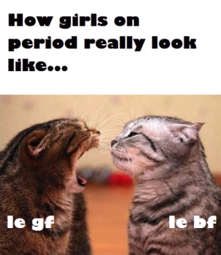 Period - Meme by FluffyKittyLove :) Memedroid