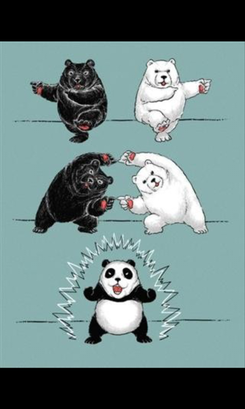 how pandas are made - Meme by Liamardo :) Memedroid