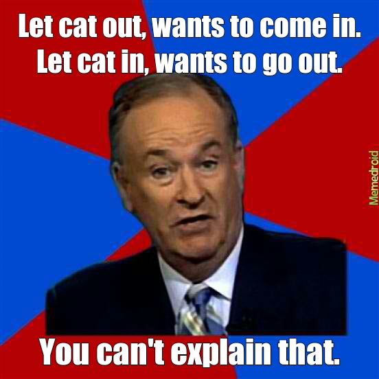 Darn cats. - Meme by KarateF22 :) Memedroid