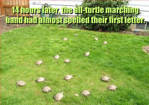 Slowly, but surely - Meme by Mr.Blacksmith :) Memedroid