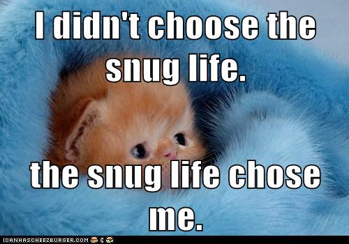 snug enough? - Meme by funk_deora :) Memedroid