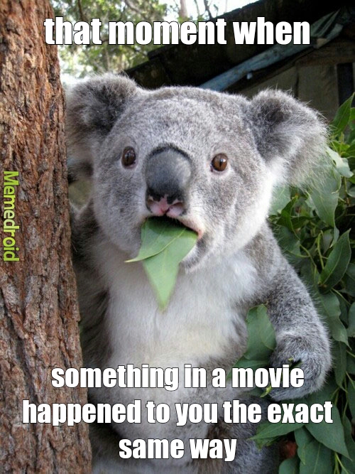 The Perks of Being a Wallflower - Meme subido por deejaykubiak :) Memedroid