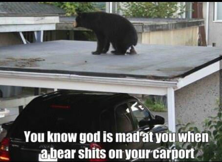 Sometimes -.- - Meme subido por qwertyuiop12345 :) Memedroid