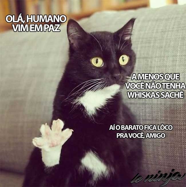 o barato vai ficar loco - Meme subido por Merxe :) Memedroid