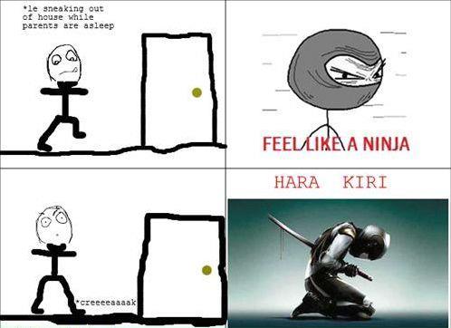 Ninja - Meme by MIKEDGAF714 :) Memedroid