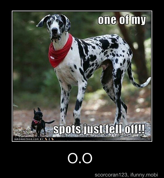 spot - Meme by trev66 :) Memedroid