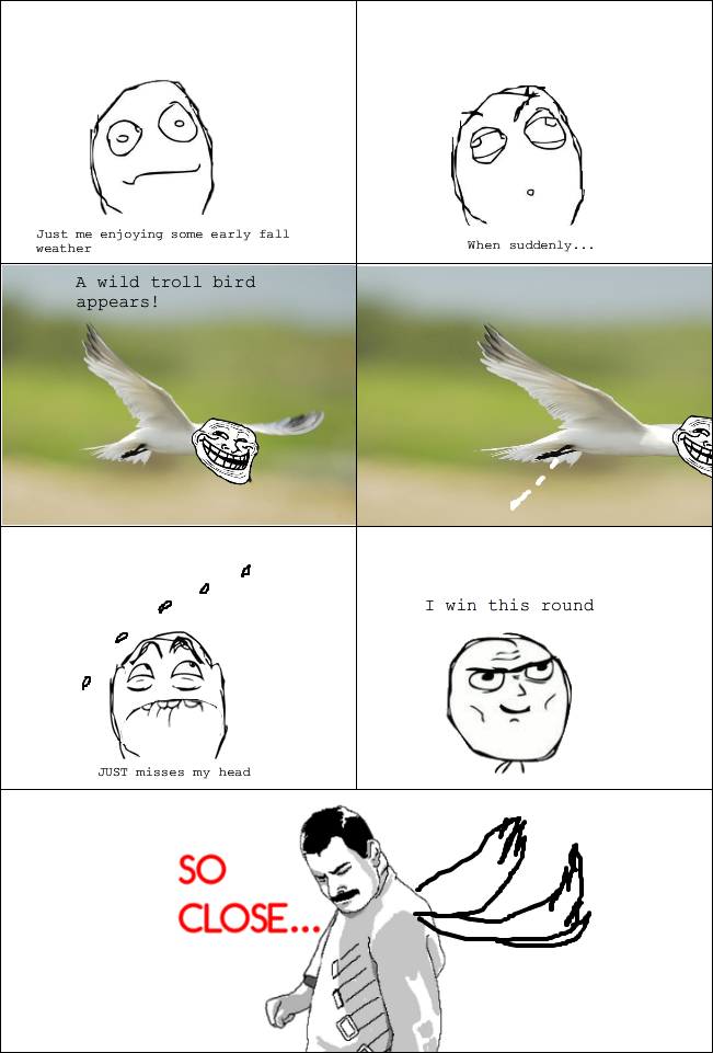 I won - Meme by kalkal :) Memedroid