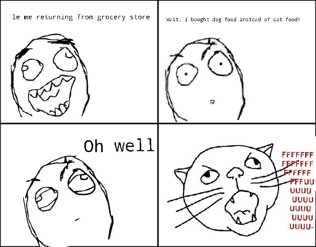 Cat rage - Meme by benjamin6tw :) Memedroid