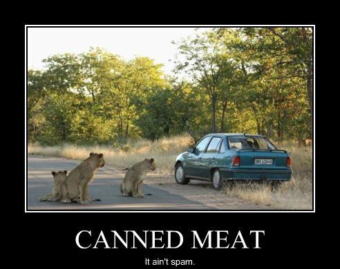 Meat - Meme by lincop :) Memedroid