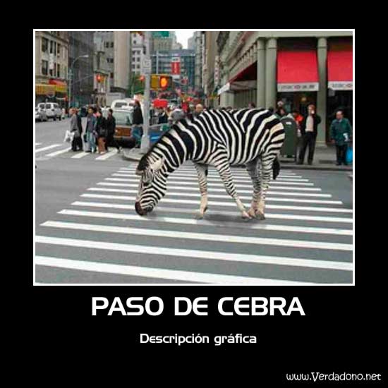 paso de cebra - Meme subido por pabloguardia01 :) Memedroid