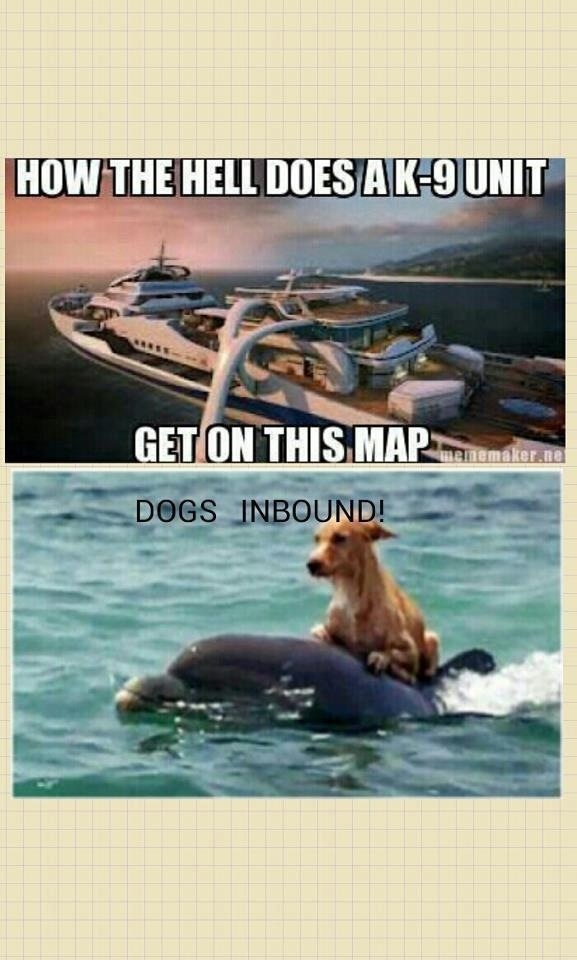 k9 - Meme subido por jtb1791 :) Memedroid