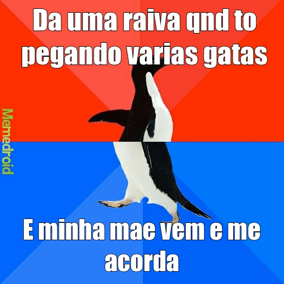 Fuuuuuuuu - Meme by Rodneylmb96 :) Memedroid