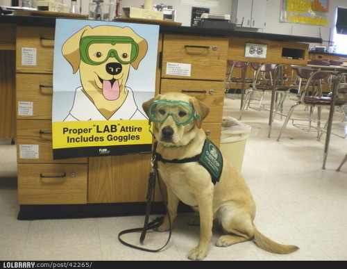 Guys. Im sorry for being a retard :3 - Meme by troll_face_in_yo_fac ...