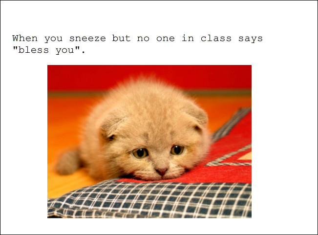 I cri everytiem ;-; - Meme by alexxxr300 :) Memedroid