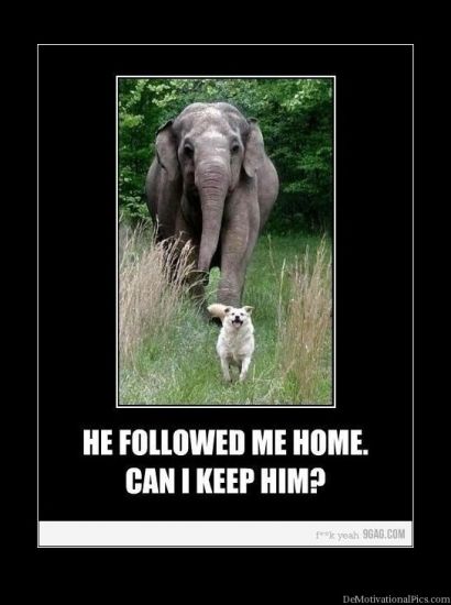 pweese - Meme by missydawn :) Memedroid