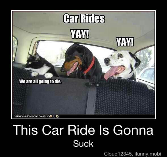 car ride - Meme by 15Mattesn :) Memedroid