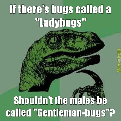 Gentleman-bugs - Meme by computerscience87 :) Memedroid