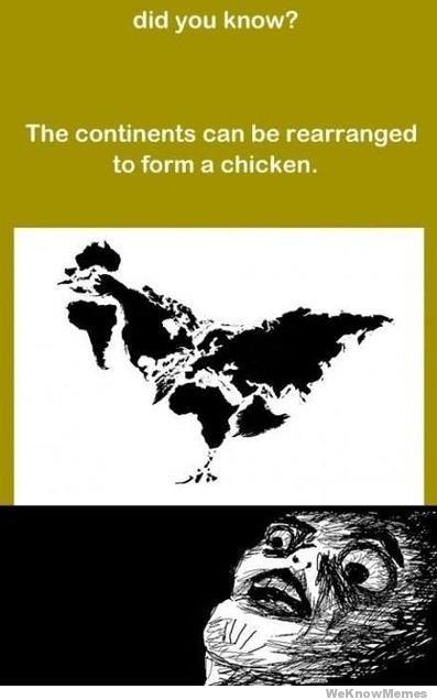 Quack Quack Quack - Meme by quackduck :) Memedroid