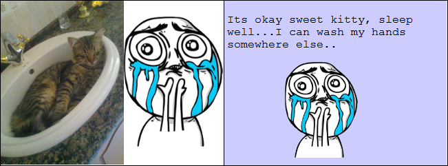 Its okay kitten - Meme by Mohazz :) Memedroid